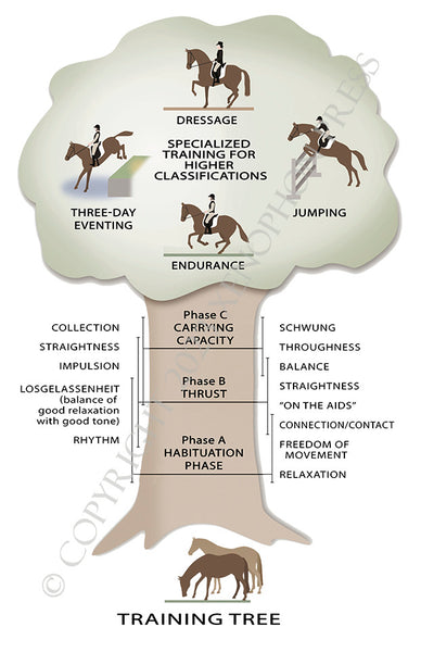 Training Tree Poster – Xenophon Press